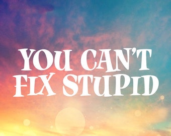 You Can't Fix Stupid Sticker Funny Car Window Vinyl Decal Truck Jdm ...