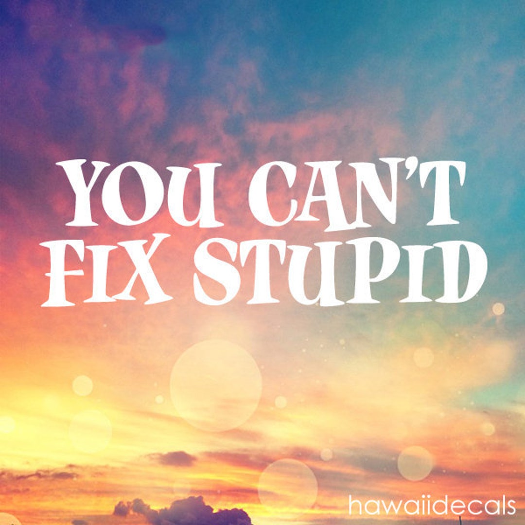 You Can Fix Stupid Decal Sticker - Funny Sticker Stickers, Tumbler Cup ...