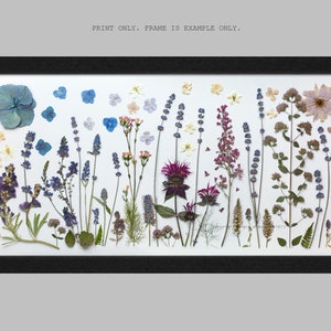 Pressed Flower Print "fluttering By" - Etsy