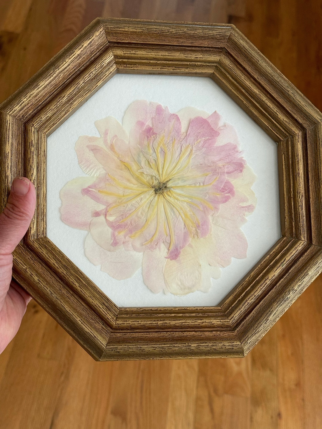 Pressed Flower Peony in Vintage Frame - Etsy