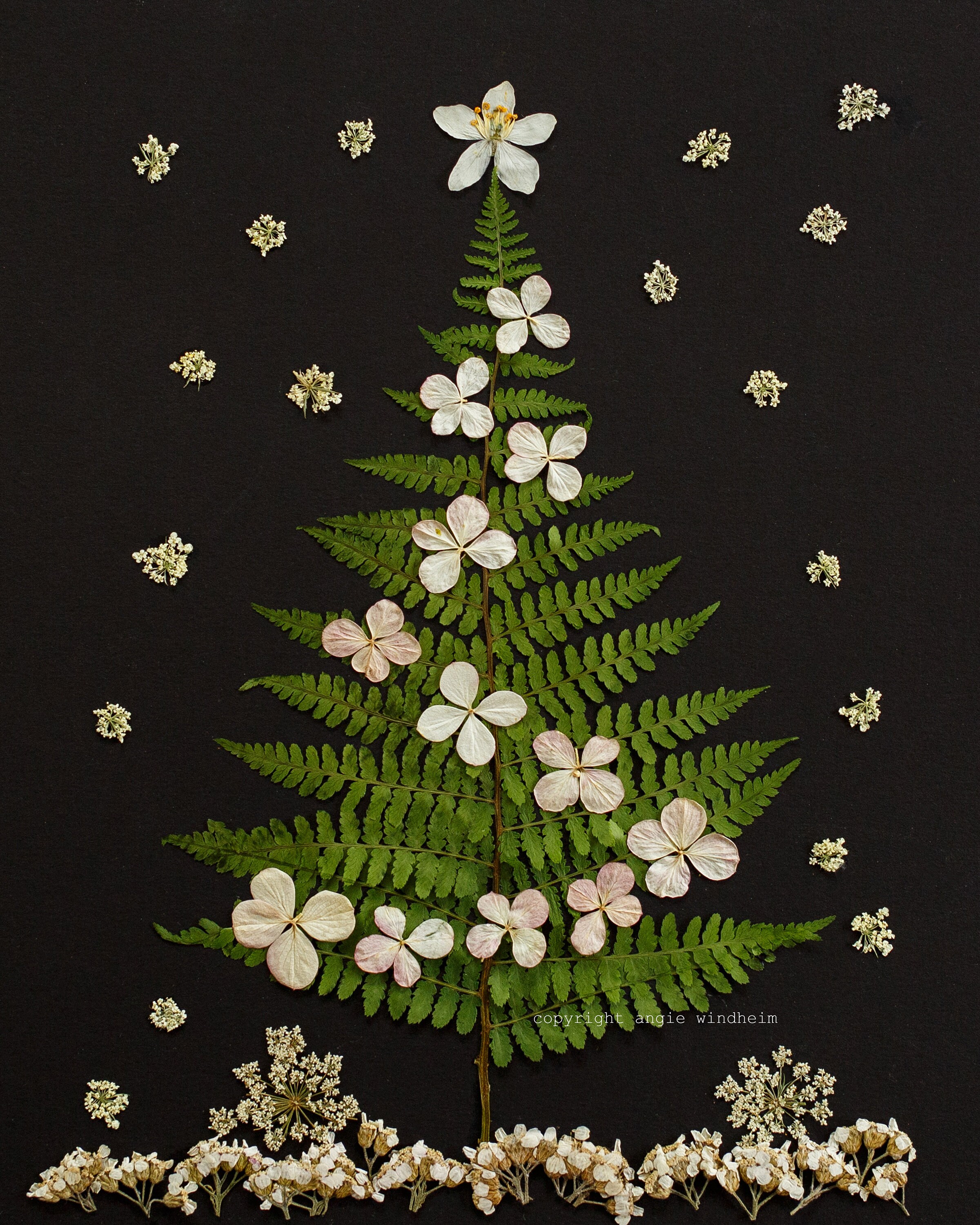 Pressed Fern Christmas Tree Framed Original Art - Etsy