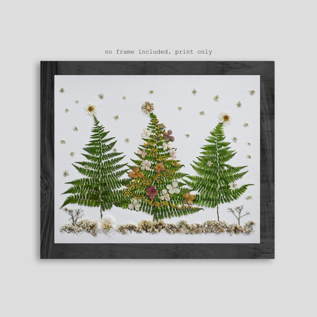 Christmas Tree Pressed Botanical Art Print - Etsy