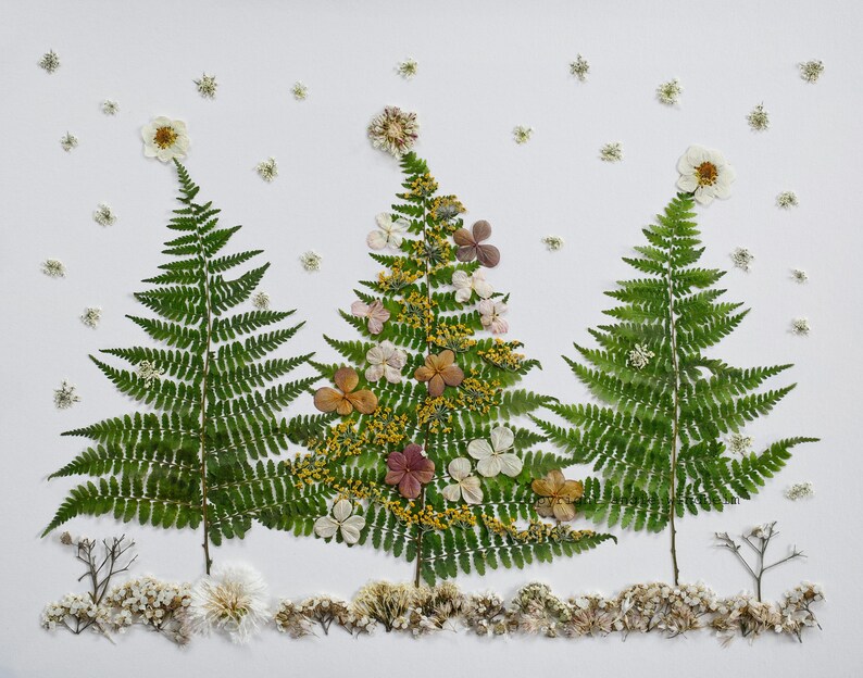 Christmas Tree Pressed Botanical Art Print - Etsy