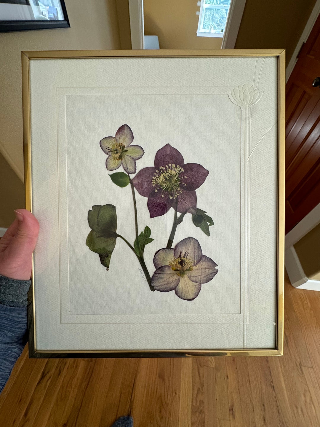 Pressed Flower Herbarium Original Art With Hellebore and Vintage Frame ...