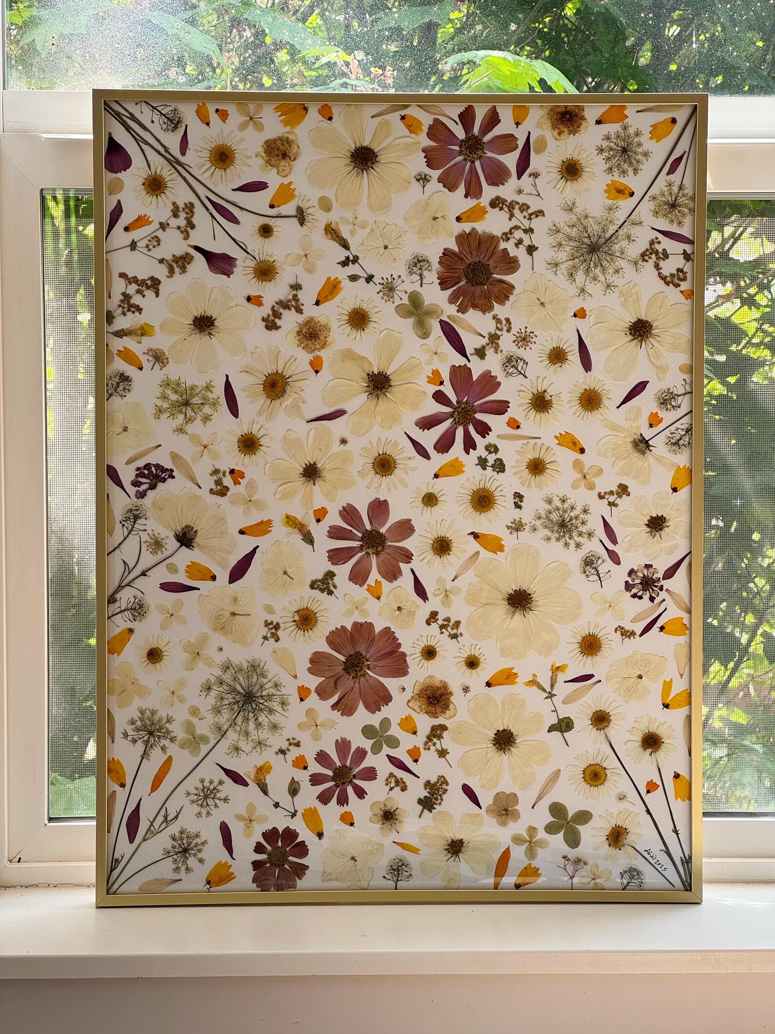 Pressed Flower Art With Cosmo Flowers "the Divide" - Etsy