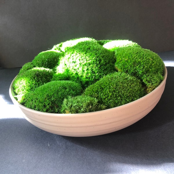 Moss Table Decor - Etsy