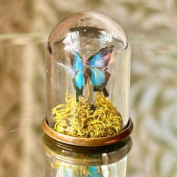 Miniature Butterfly - Etsy