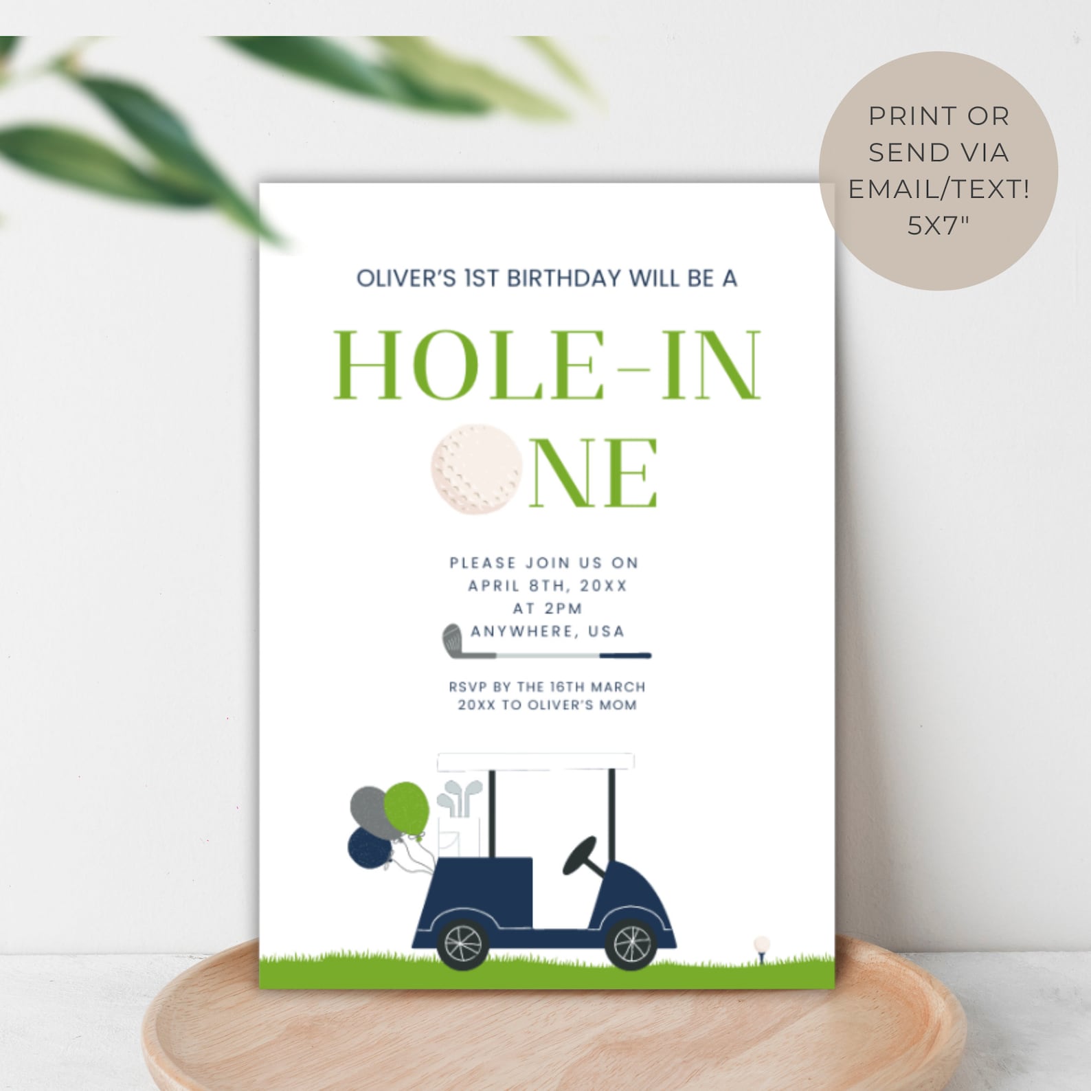 Editable Hole in One Birthday Template Canva, Hole in 1 First Birthday ...