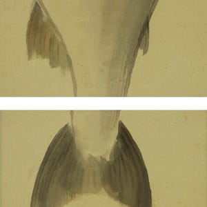 Vintage Hanging Scroll Painting,salmon,still Life Painting,fish ...