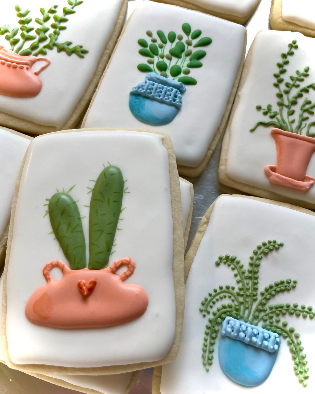 Potted Plant Cookie Design - Etsy