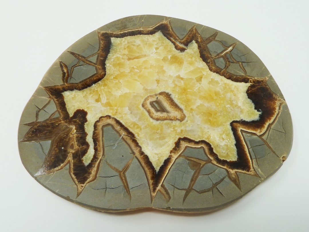 Septarian Slab Slice 1 Lb 470g Large Dragon Stone Plate Natural Genuine ...