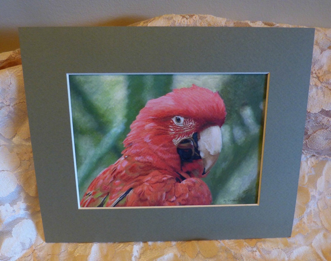 Original Watercolour, Ink, Pencil Crayon Painting - Parrot - Green ...