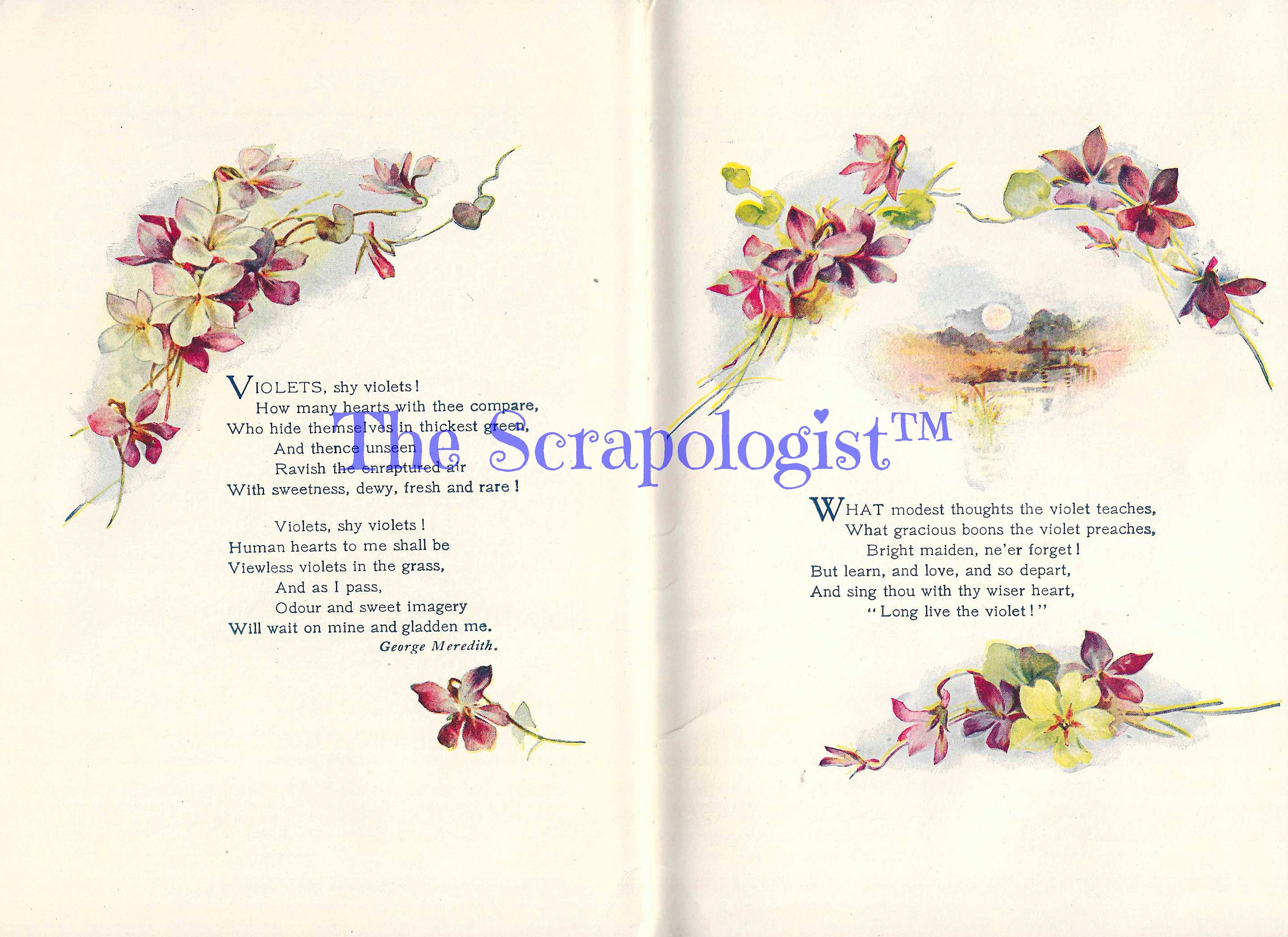Book of Violets, Victorian Poetry Illustrated With Color Paintings, DIY ...