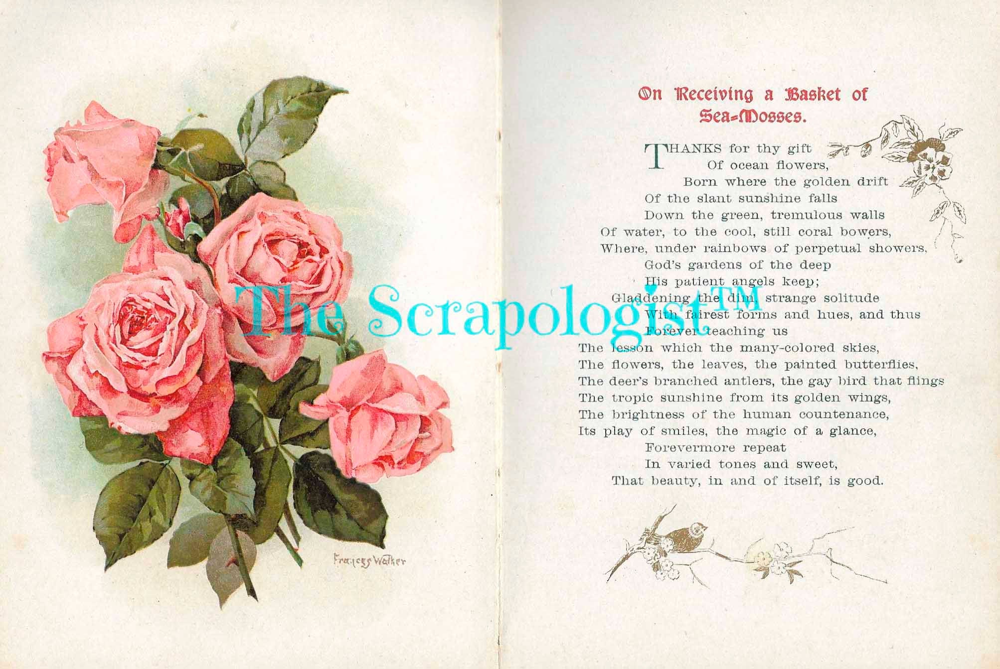 Poetry and Flowers Junk Journal Kit, Poems by John Greenleaf Whittier ...