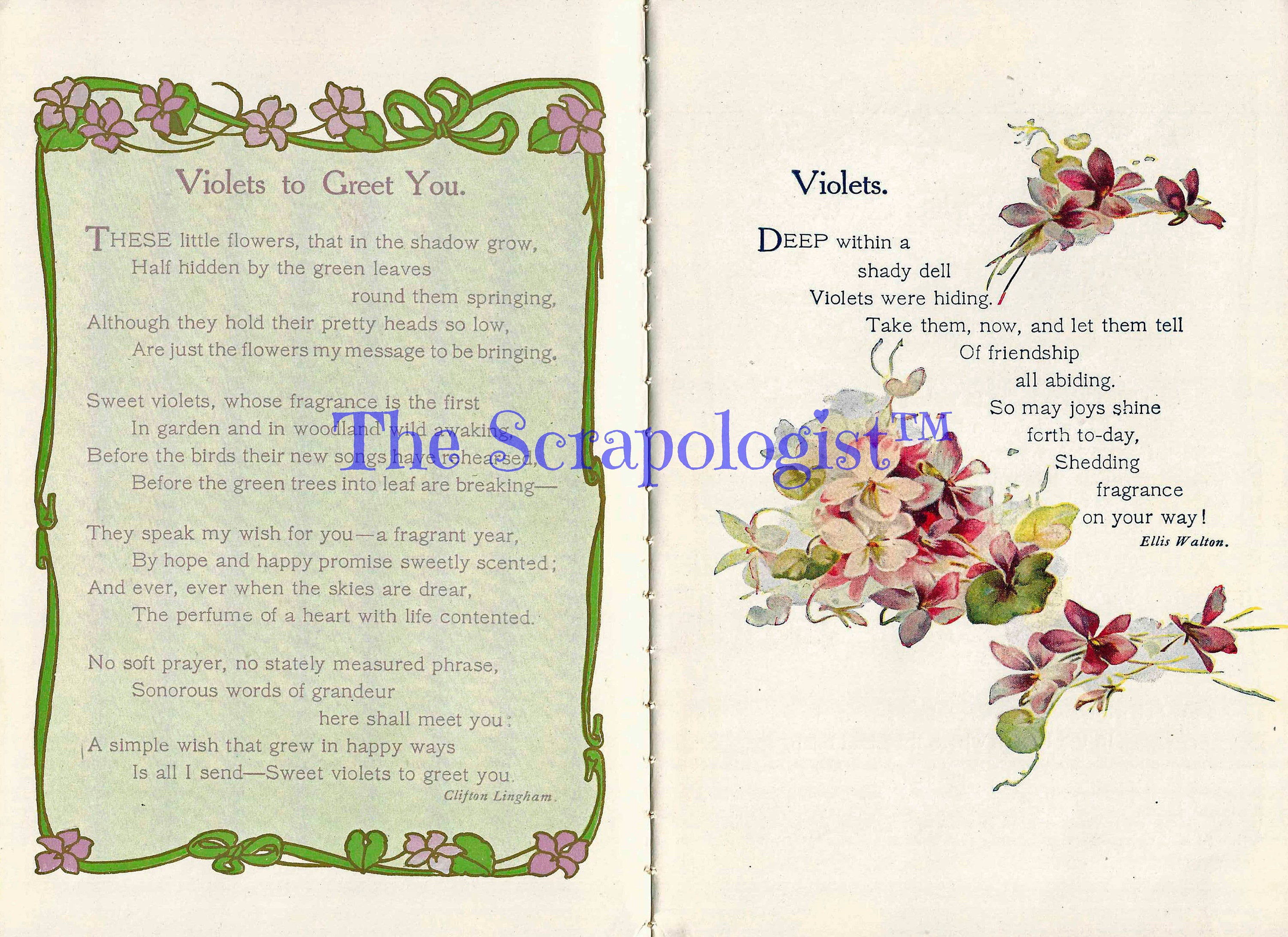 Book of Violets, Victorian Poetry Illustrated With Color Paintings, DIY ...
