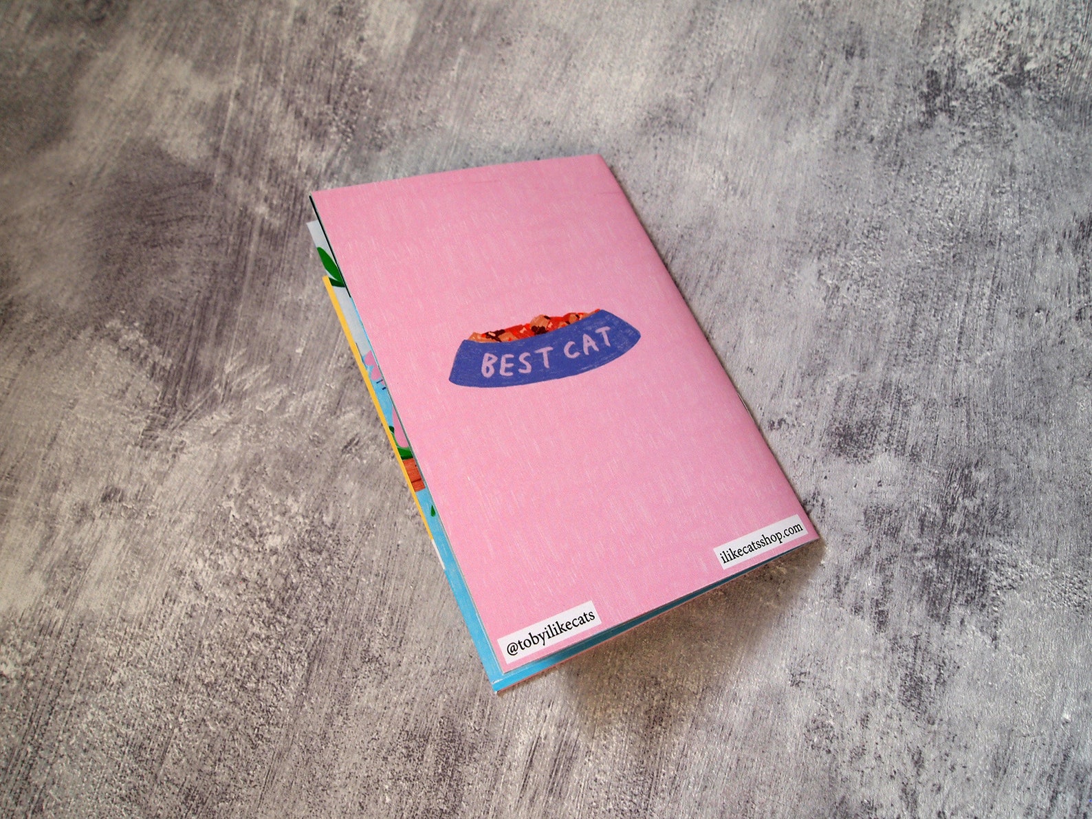 Mini Cat Book Zine 'sylvia' - Etsy