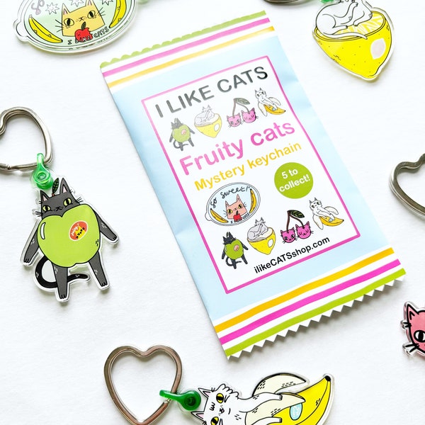 Blind Box Keychain - Etsy