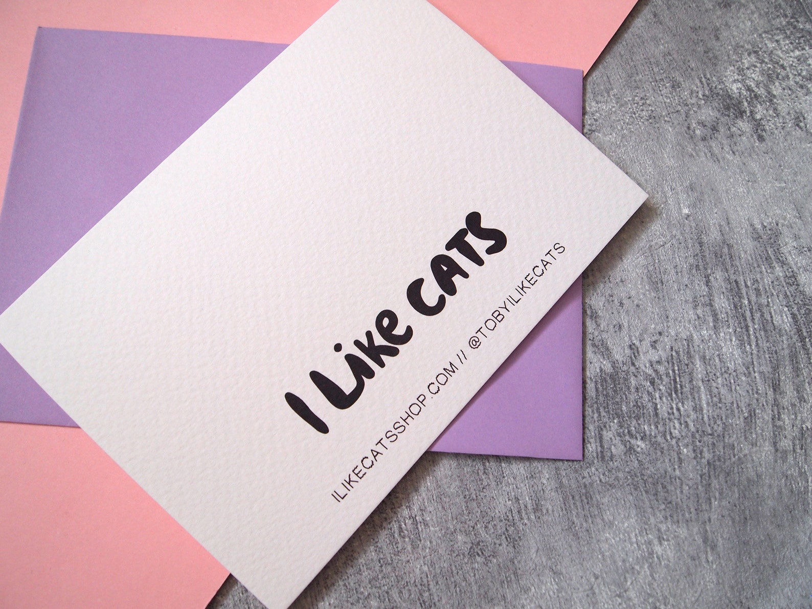 Best in Show Cat Greetings Card | Etsy