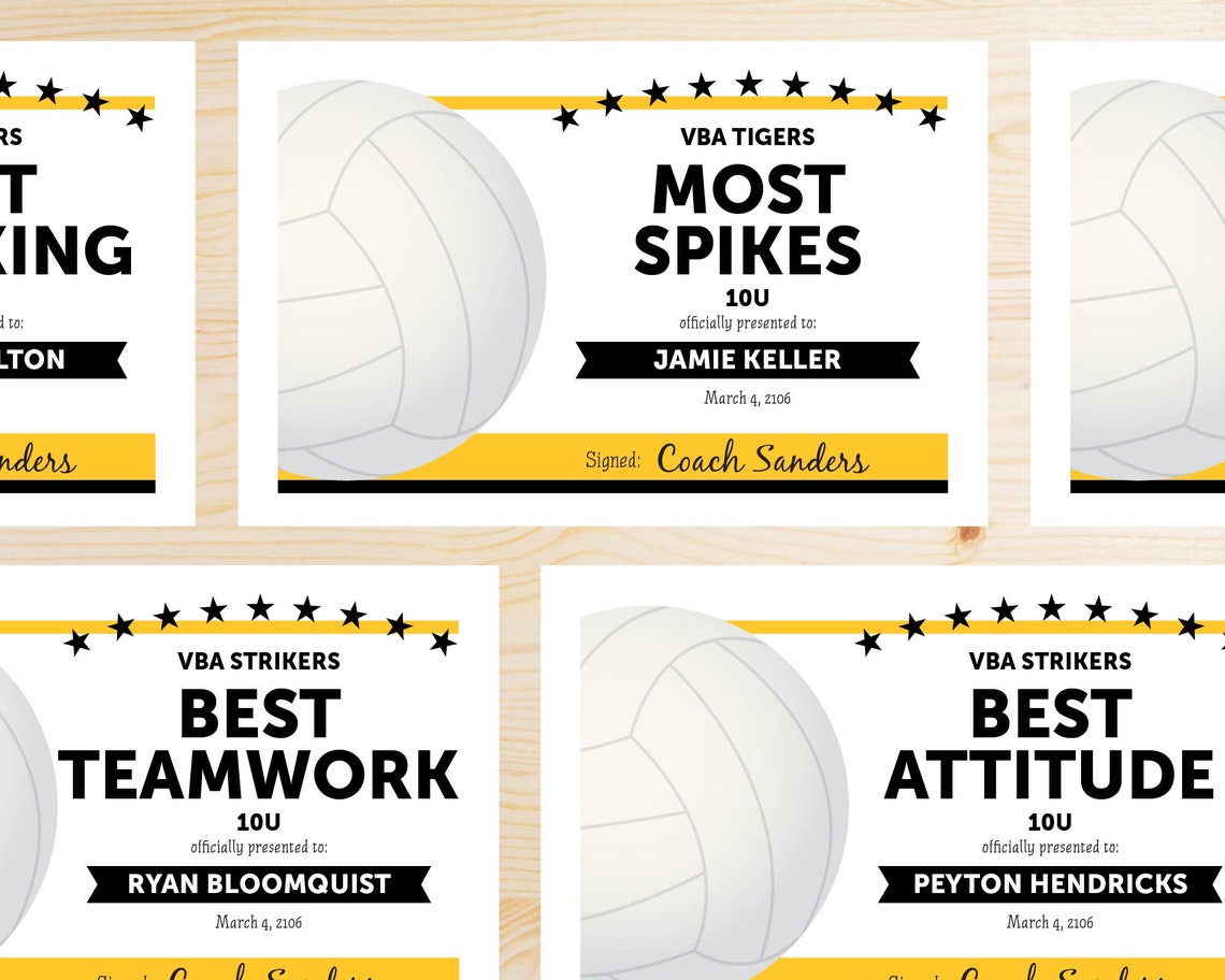 Editable Volleyball Award Certificates - INSTANT DOWNLOAD PRINTABLE ...
