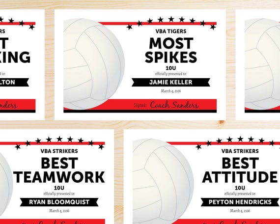Volleyball Awards Ideas