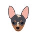 Puppy Dog Face Cute Posters for Party and Kids Room Wall Art Decor Pups ...