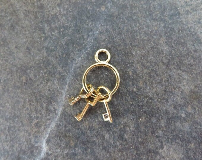 6 Mini Jailor's Key Charms 3 Keys on a Tiny Ring Gold Tone Old West ...