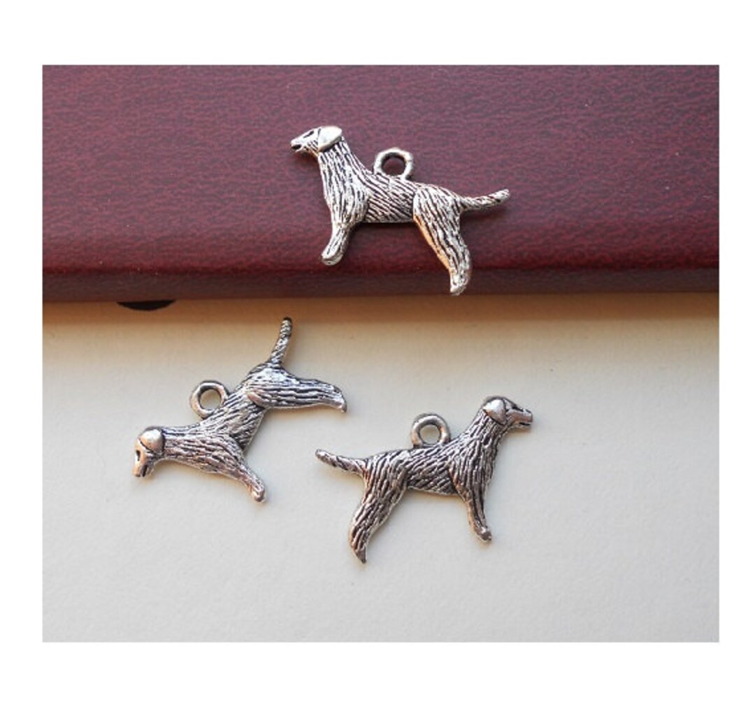 Labrador Golden Retriever Type Dog Charms Double Sided Pet Puppy ...
