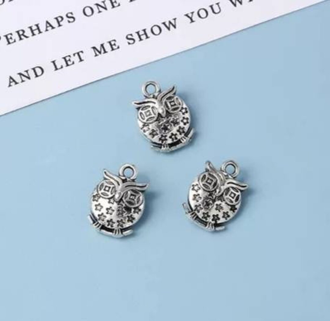 Adorable Mini Owl Charms Sweet Little Double Sided Puffed Owl Charms ...