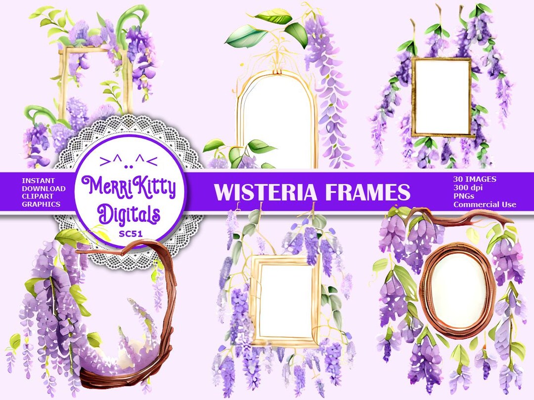 Wisteria Frames Clipart SC51 37 Wisteria Graphic Images Wisteria ...