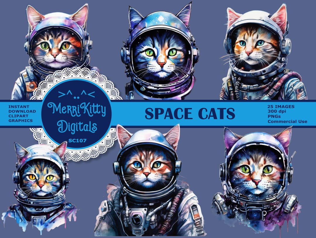 Space Cats Clipart SC10 25 Cute Space Cat Graphic Images Space ...