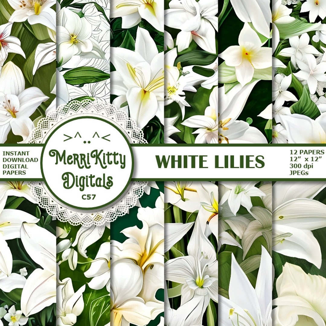 White Lily Digital Papers C57 Instant Download White Floral Papers ...
