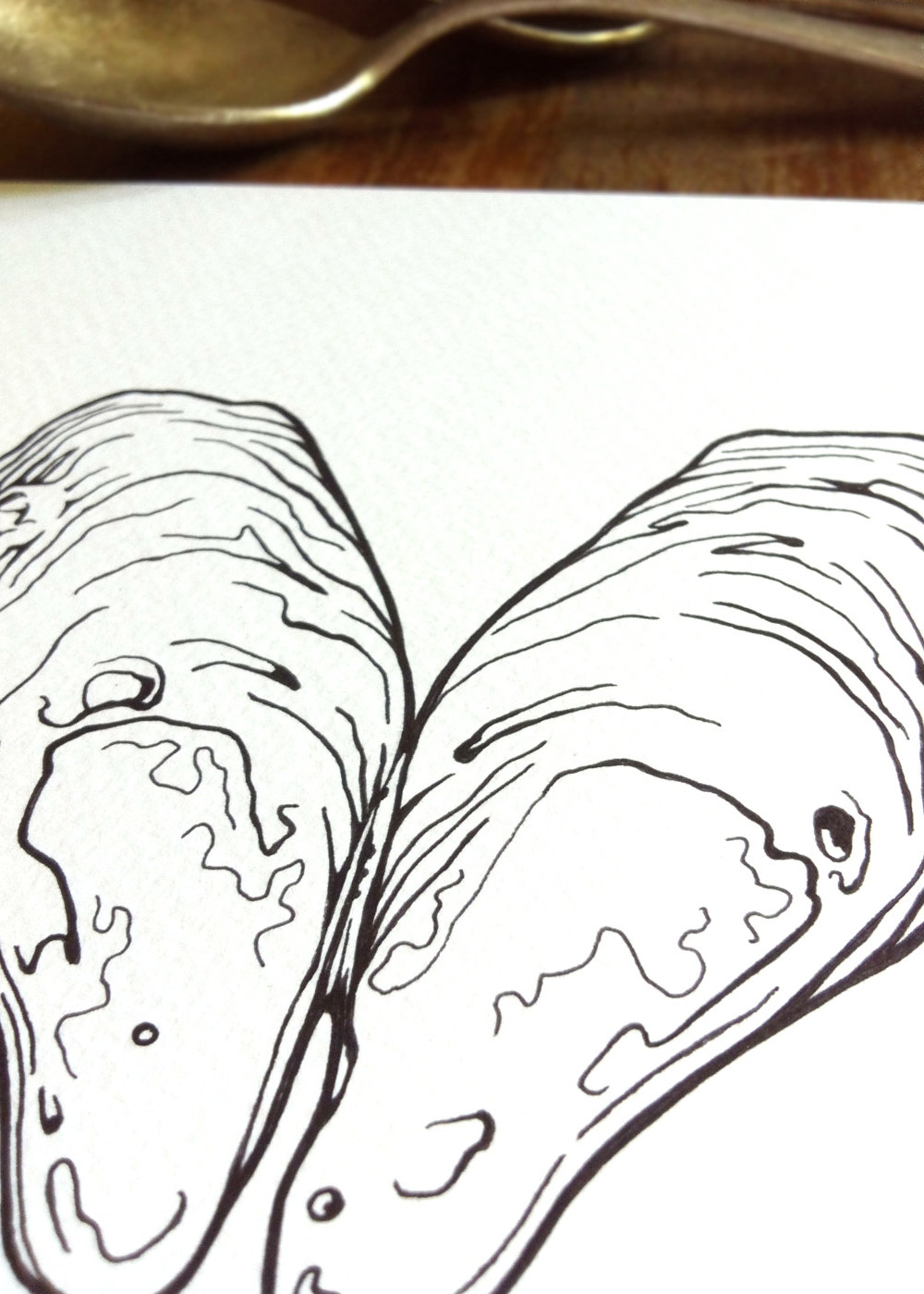 Original Artwork 'mussel' Simple Pen Drawing - Etsy