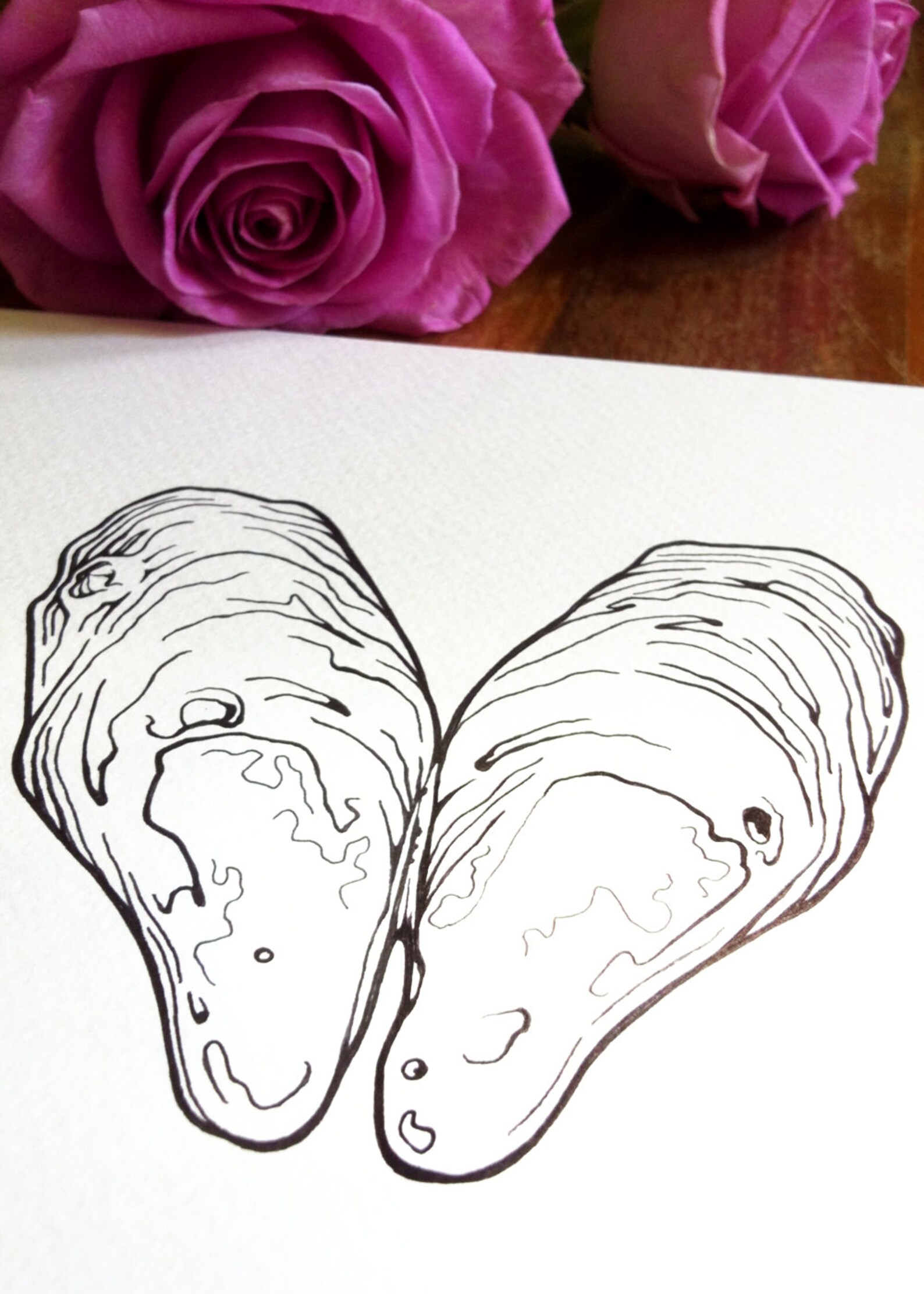 Original Artwork 'mussel' Simple Pen Drawing - Etsy