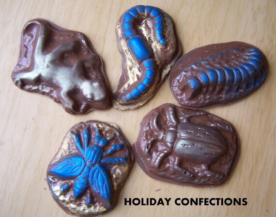 Chocolate Bugs