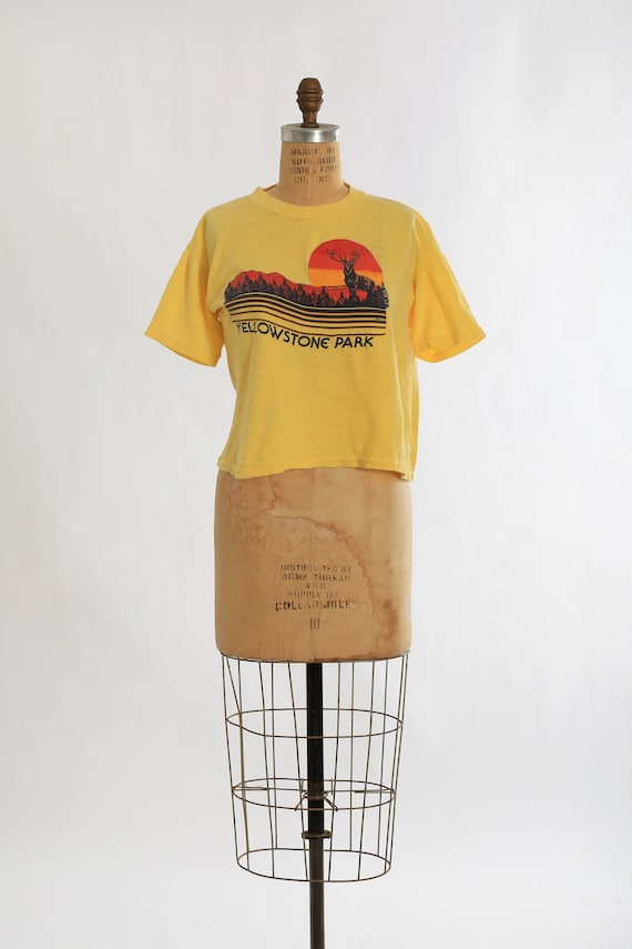 pepsi cropped paper thin - Gem