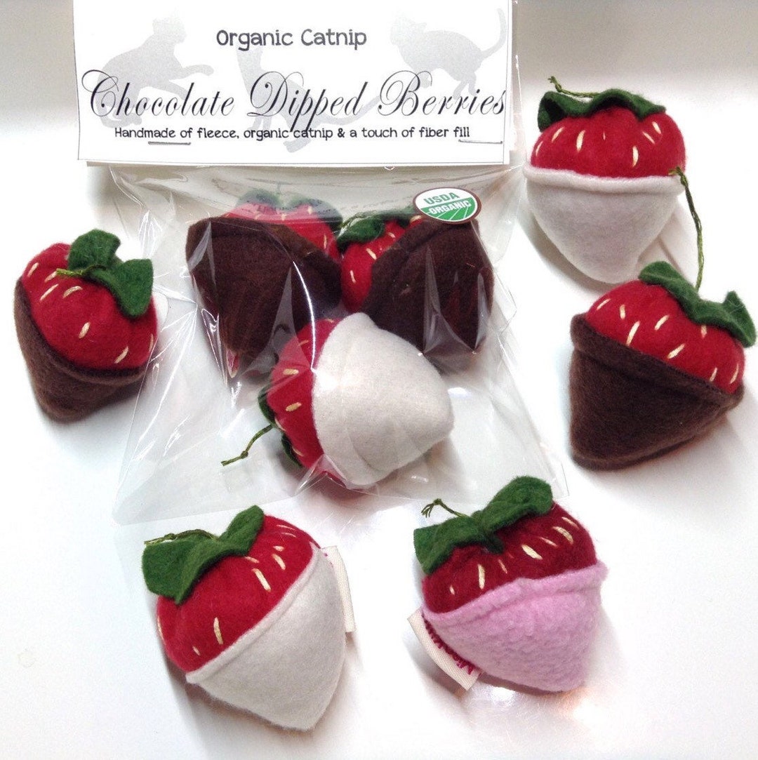 Catnip Strawberry Toys: Organic Catnip Candy, Gift for Cats - Etsy
