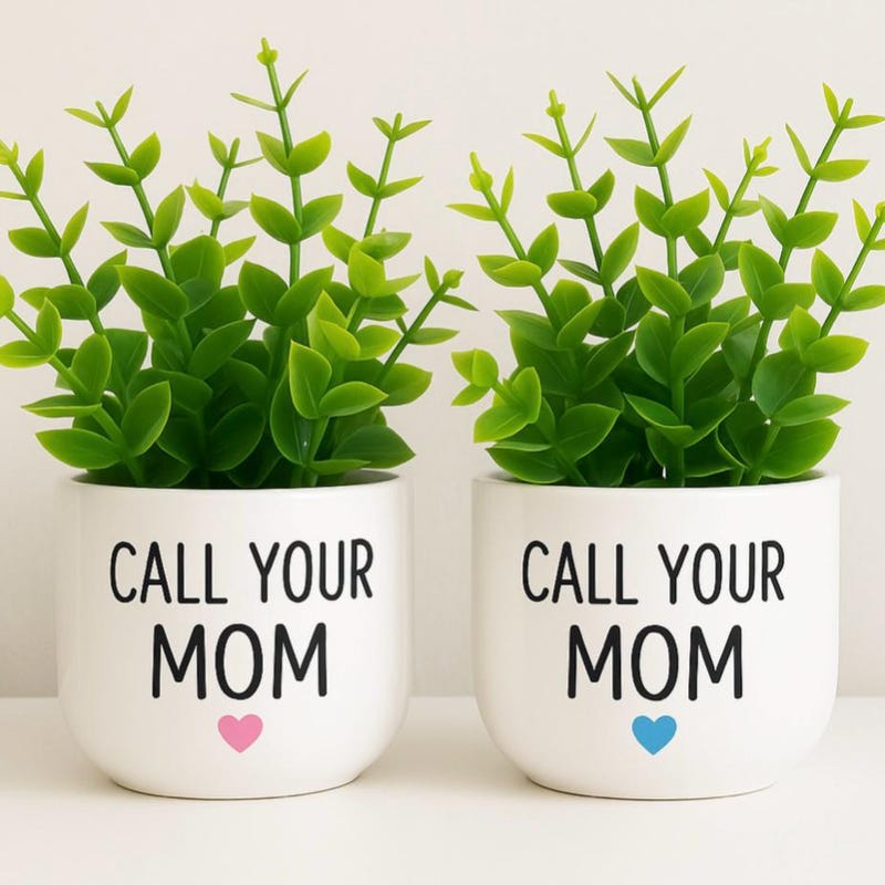 Gift for Dorm Move In - 60+ Gift Ideas for 2025