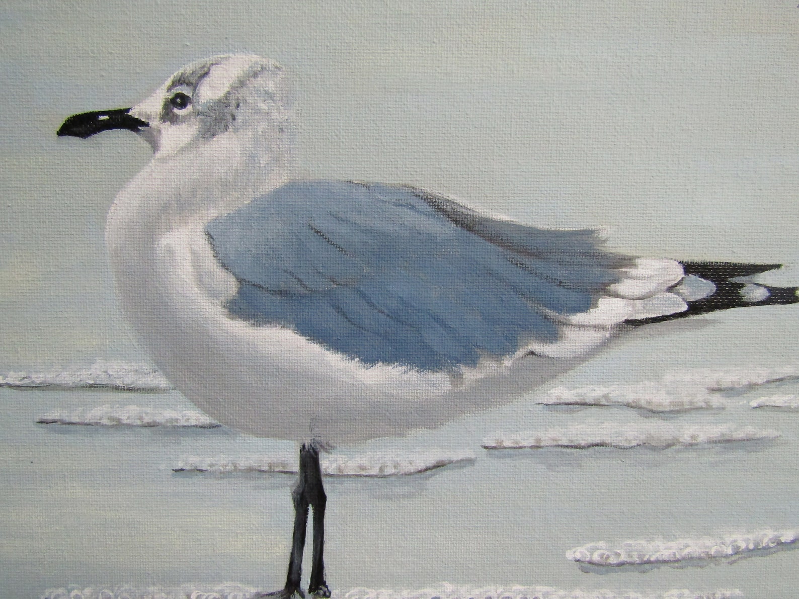 Original Acrylic Painting Seagull at Myrtle Beach - Etsy