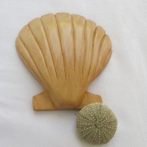 JUST REDUCED Scallop Shell, Carved Shell, Hand Carved Shell, Beach ...
