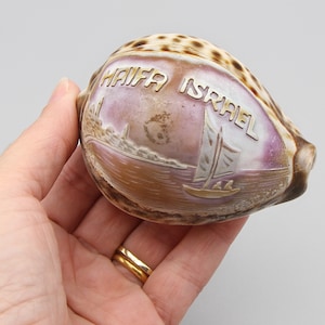 Hand Carved Tiger Cowry With Haifa Scene, Israel Jewish Decorative Art ...