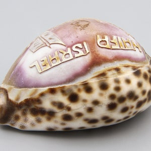 Hand Carved Tiger Cowry With Haifa Scene, Israel Jewish Decorative Art ...