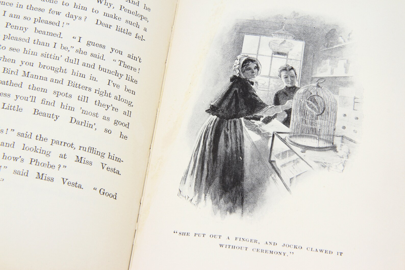 Antique 1900s Illustrated Hardcover Book, Mrs Tree by Laura Richards ...