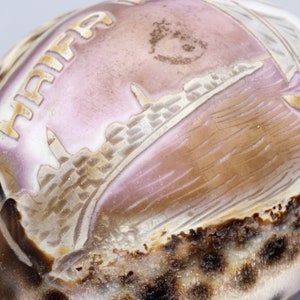 Hand Carved Tiger Cowry With Haifa Scene, Israel Jewish Decorative Art ...