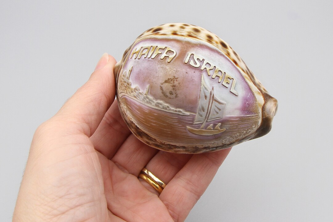 Hand Carved Tiger Cowry With Haifa Scene, Israel Jewish Decorative Art ...