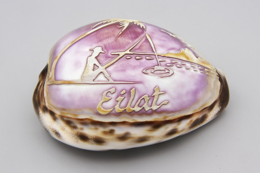 Hand Carved Tiger Cowry With Eilat Scene, Israel Jewish Decorative Art ...