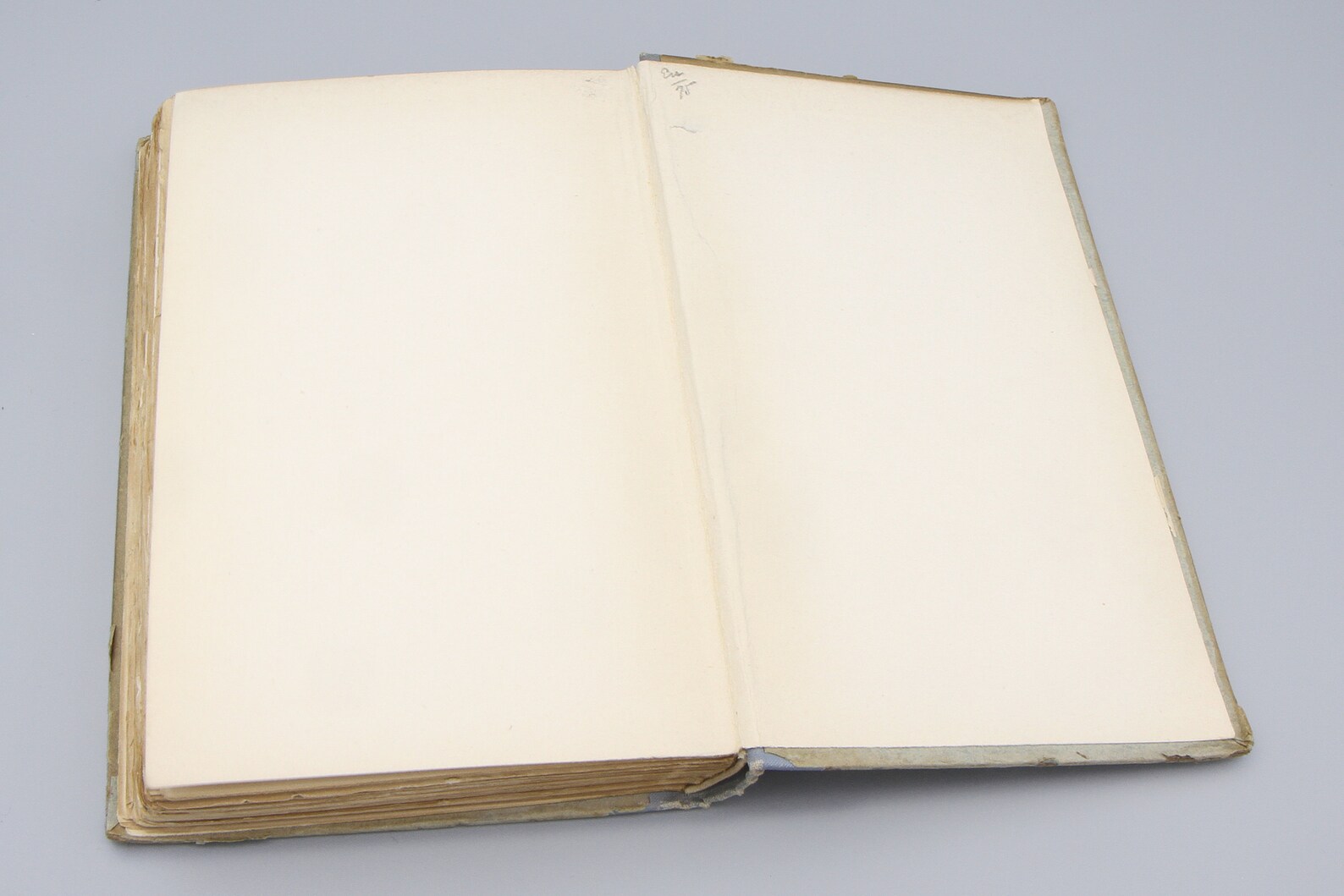 Antique 1900s Illustrated Hardcover Book, Mrs Tree by Laura Richards ...