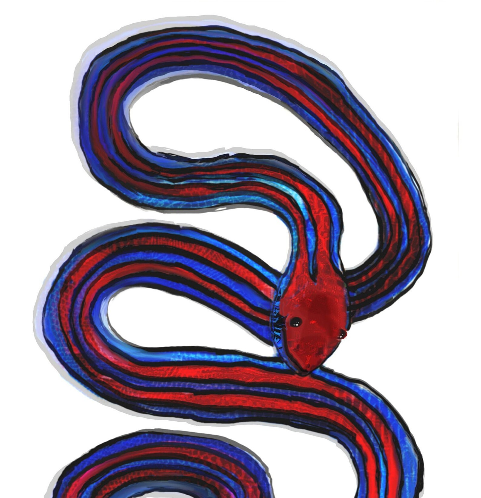 Snake Art Print, Reptile Wall Art, Endangered Species Art, Red Blue ...