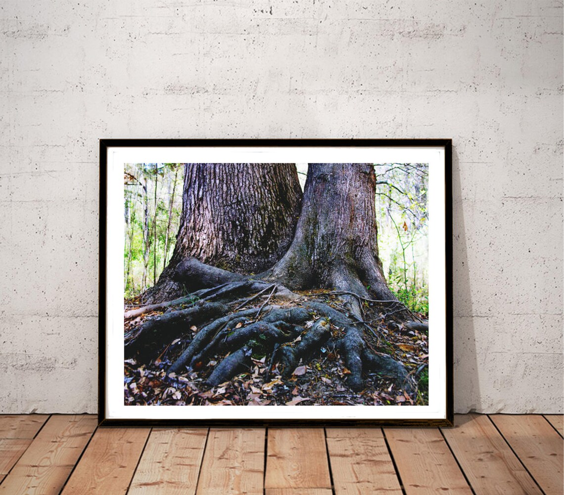 Tree Photography Print Woods Forest Art Print Canvas Tree - Etsy