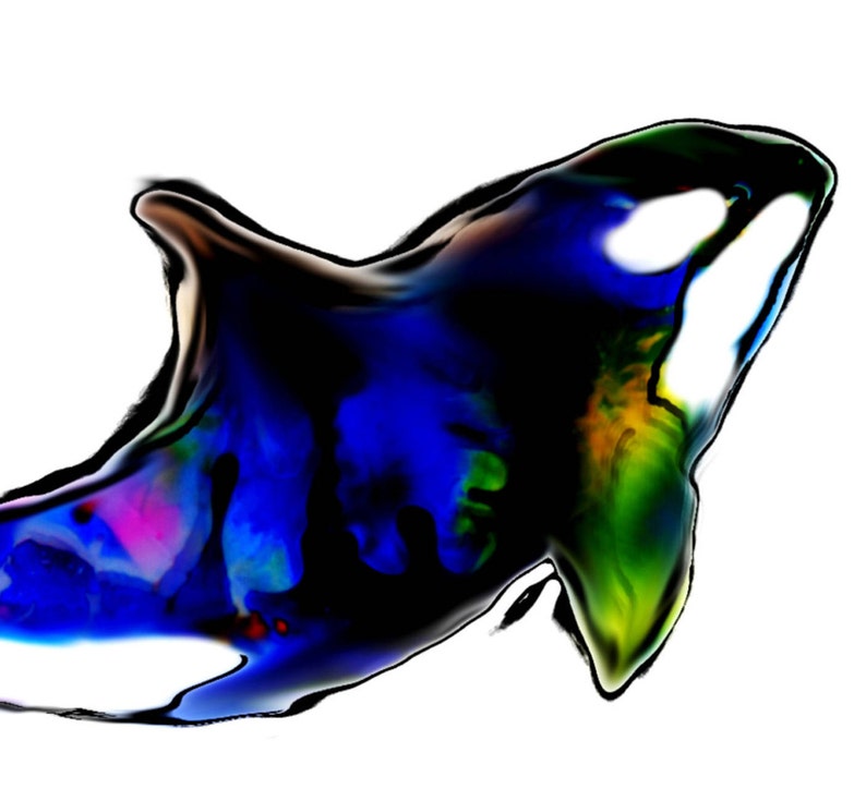 Killer Whale Art Print, Orca Illustration Print, Canvas Whale Print ...