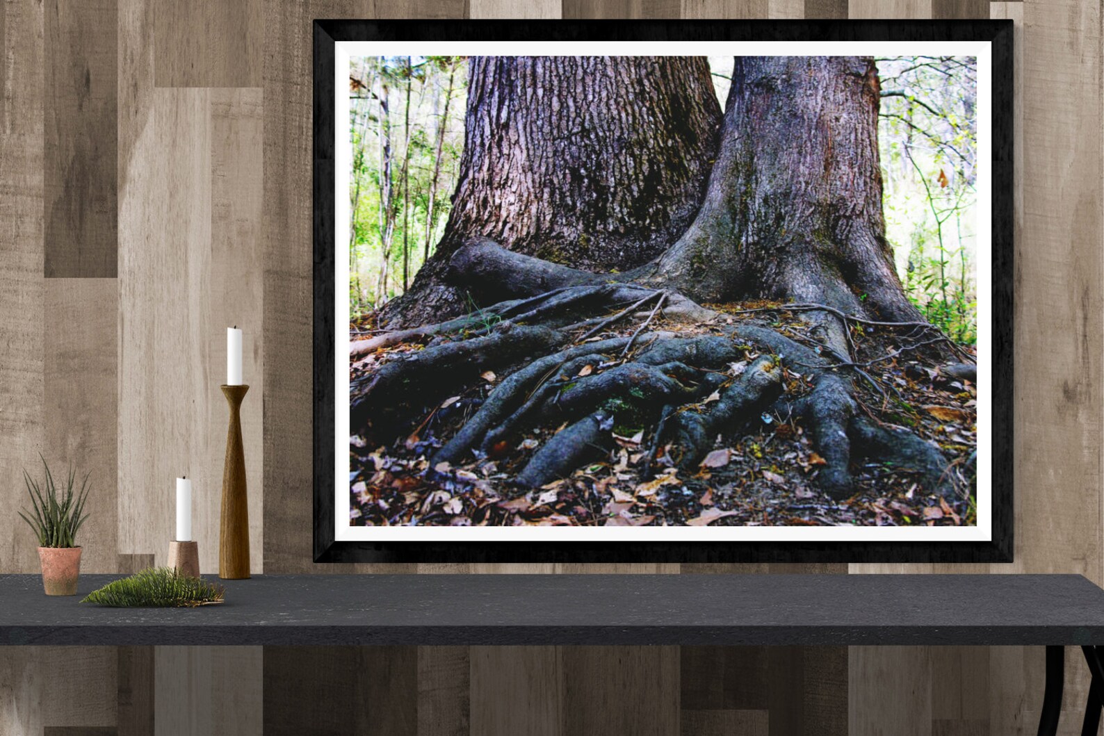 Tree Photography Print Woods Forest Art Print Canvas Tree - Etsy